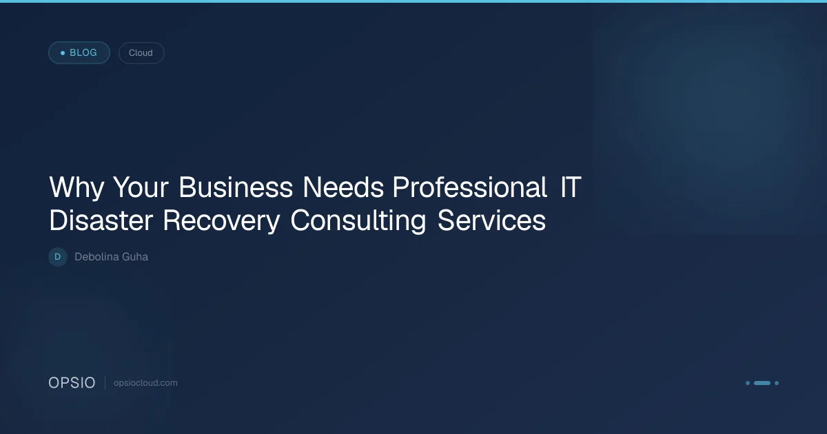 Why Your Business Needs Professional IT Disaster Recovery Consulting ...