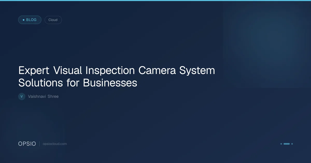 Visual Inspection Camera System Solutions | Opsio