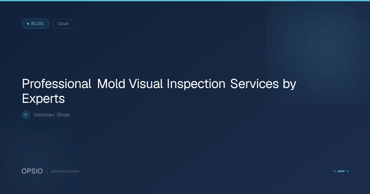 Professional Mold Visual Inspection Services by Experts | Opsio